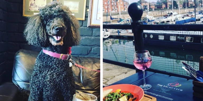 10 Dog Friendly Restaurants Liverpool | Liverpool Dogs | Unlock Liverpool