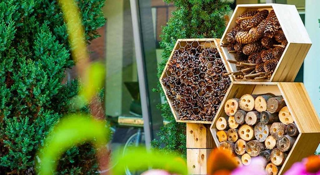 Kids Home School Idea - Build a Bug House | Unlock Liverpool