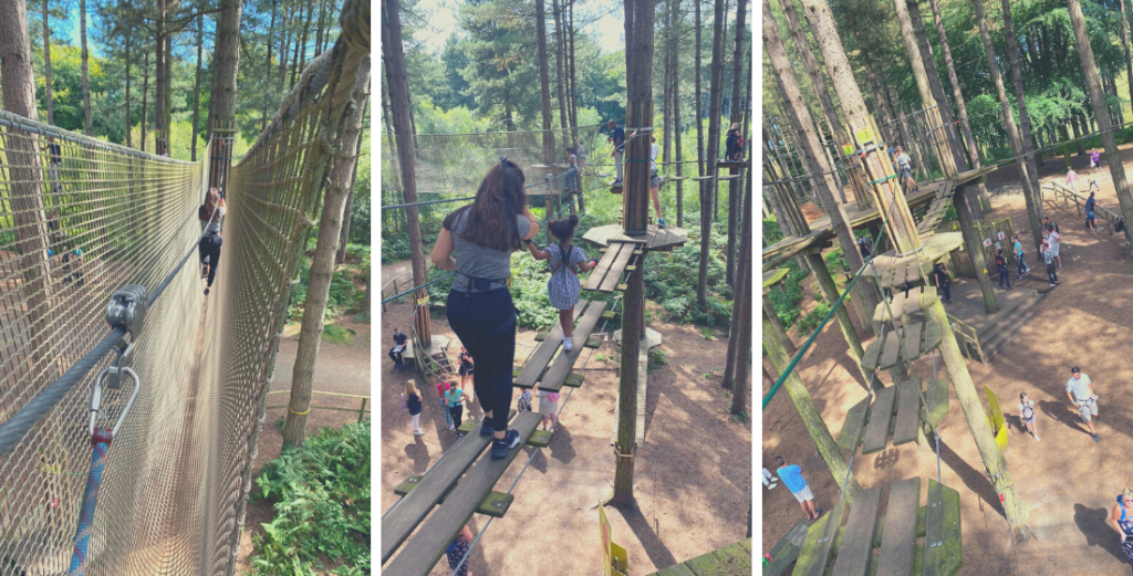 Go Ape Delamere forest review - Overcome your fear of heights - Unlock ...